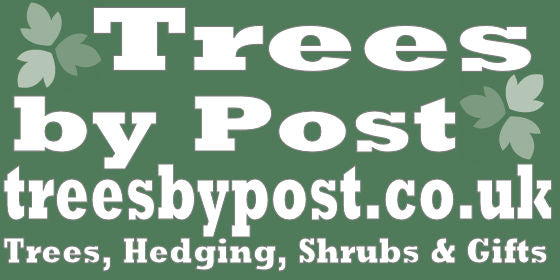 Buy Tree Saplings, Seedlings, Hedging & Plants Online – Trees by Post